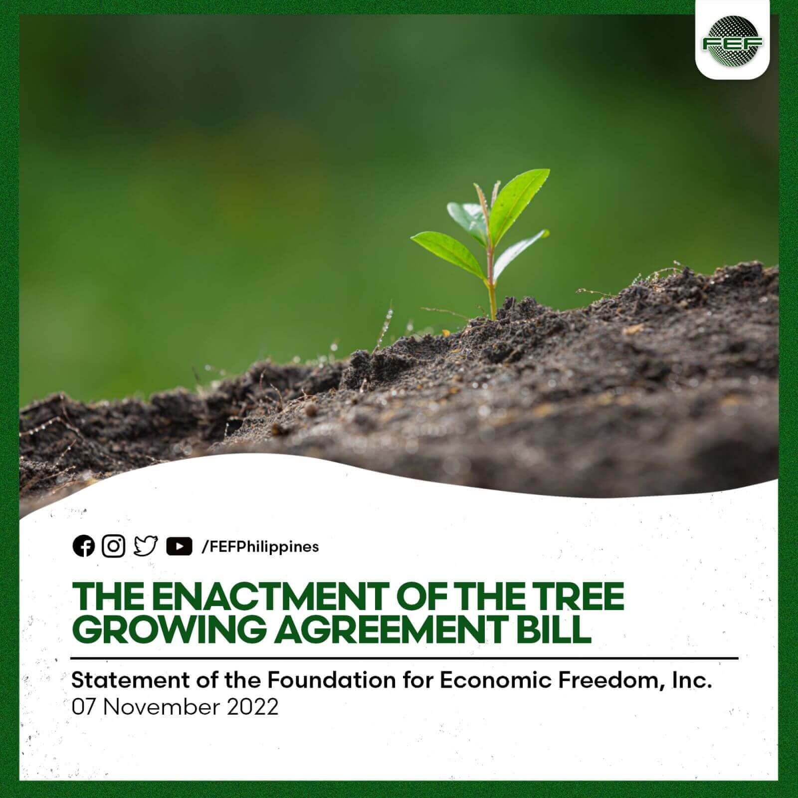 FEF Calls for the Enactment of the Tree Growing Agreement Bill ...